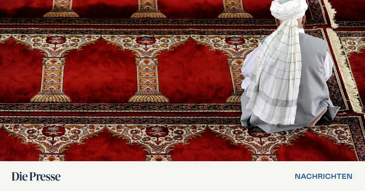 „Pamphlet“: Islamische Föderationen kritisieren Studie über Milli Görüş – DiePresse.com